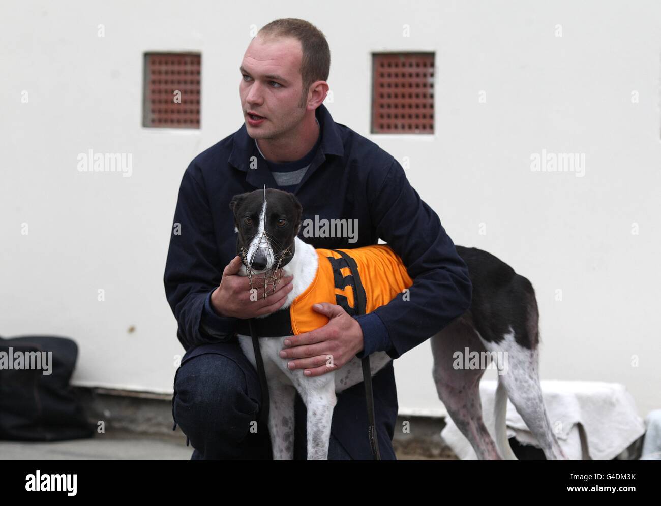 Greyhound racing sunderland greyhound stadium hi-res stock photography ...