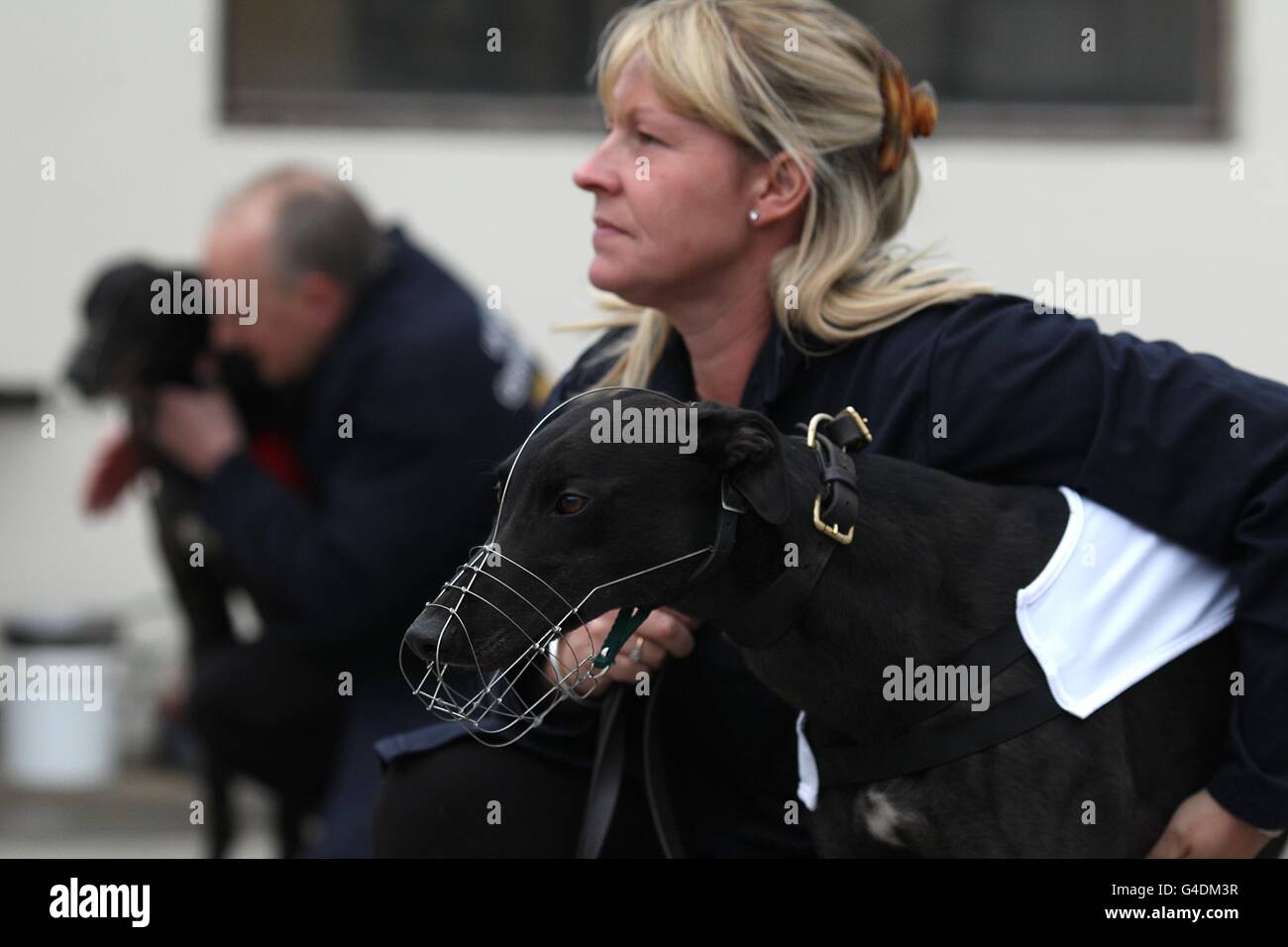 Sunderland greyhound stadium hi-res stock photography and images - Alamy