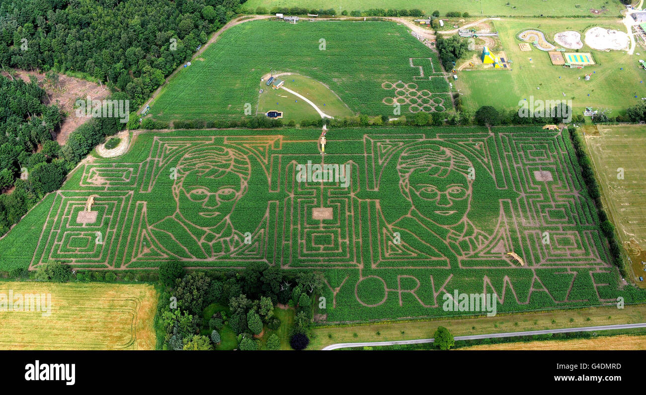 An aerial view of York Maze, the largest maize maze in Europe. This ...