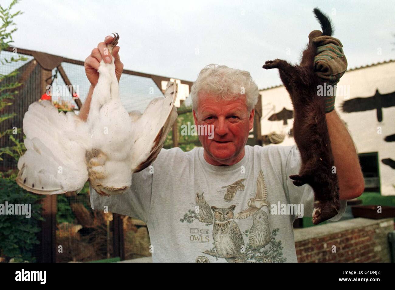Bruce Berry of the New Forest Owl Sanctuary with his dead barn owl and ...