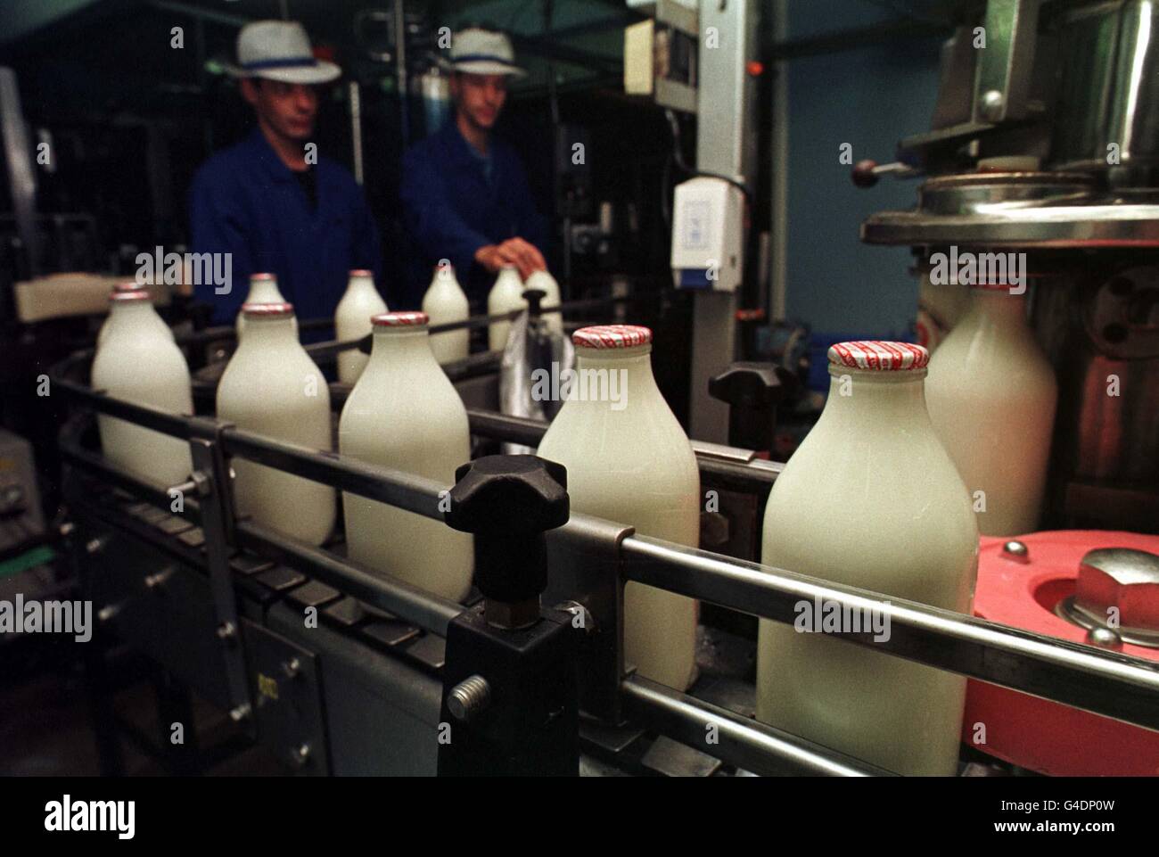 SALE Milk production Stock Photo - Alamy