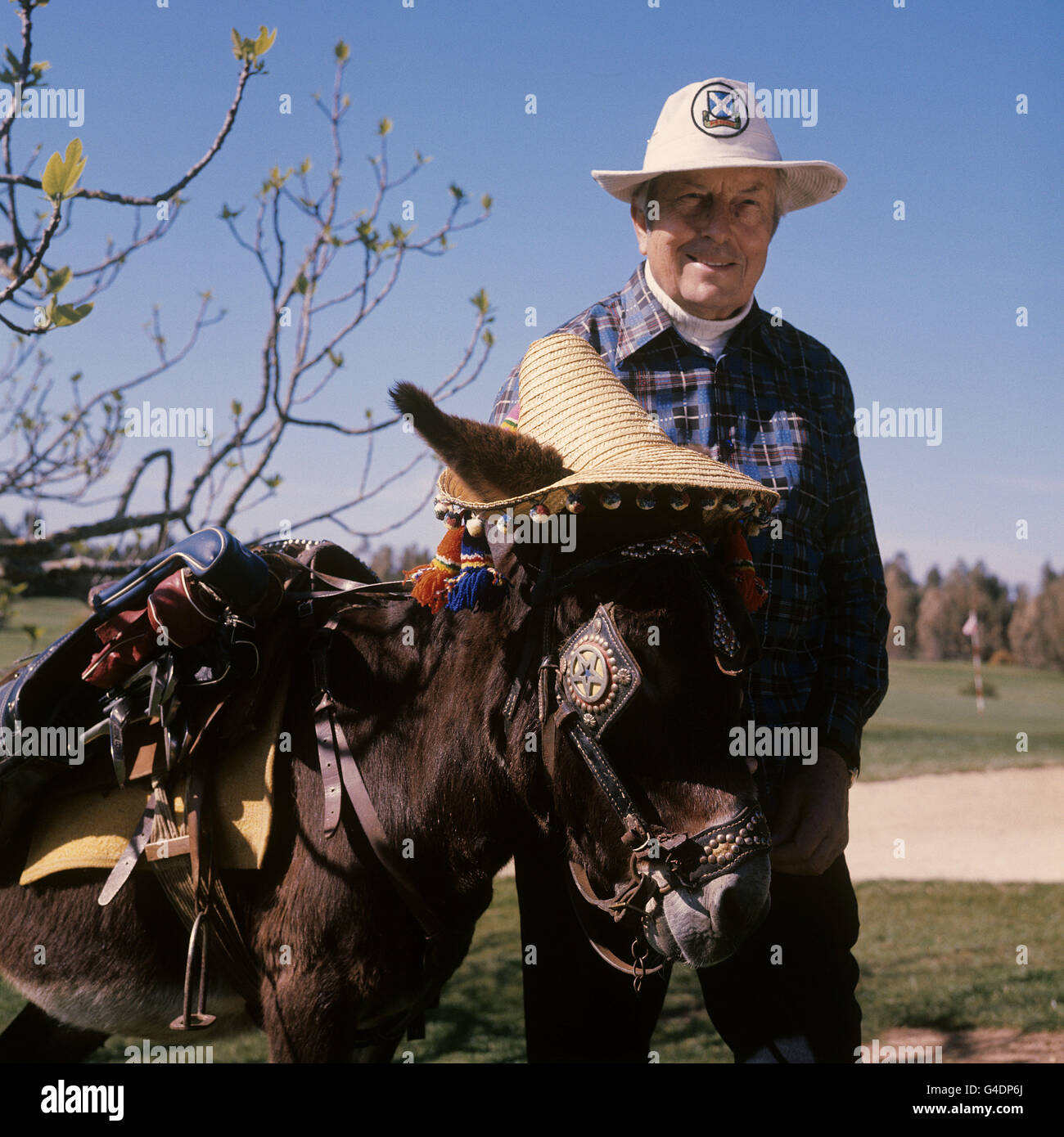 Former English professional golfer Henry Cotton with his donkey caddie ...