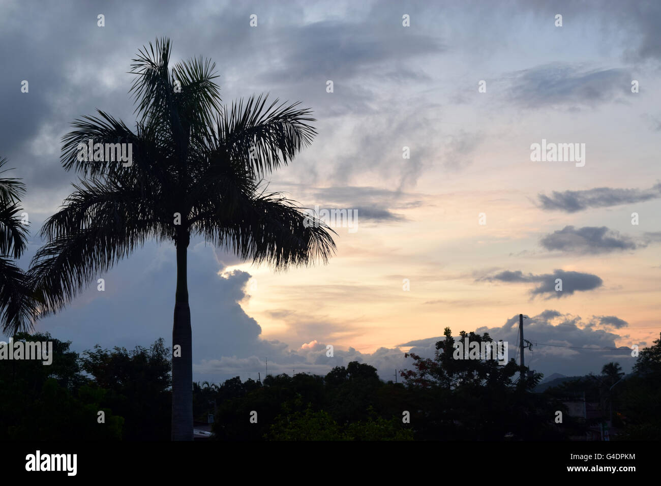 Daybreak At The Park Stock Photo - Alamy