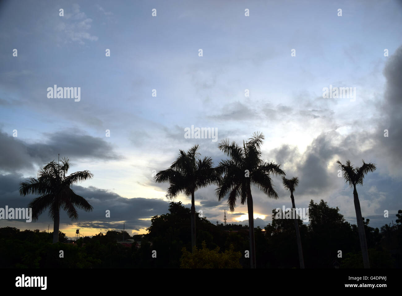 Daybreak At The Park Stock Photo - Alamy