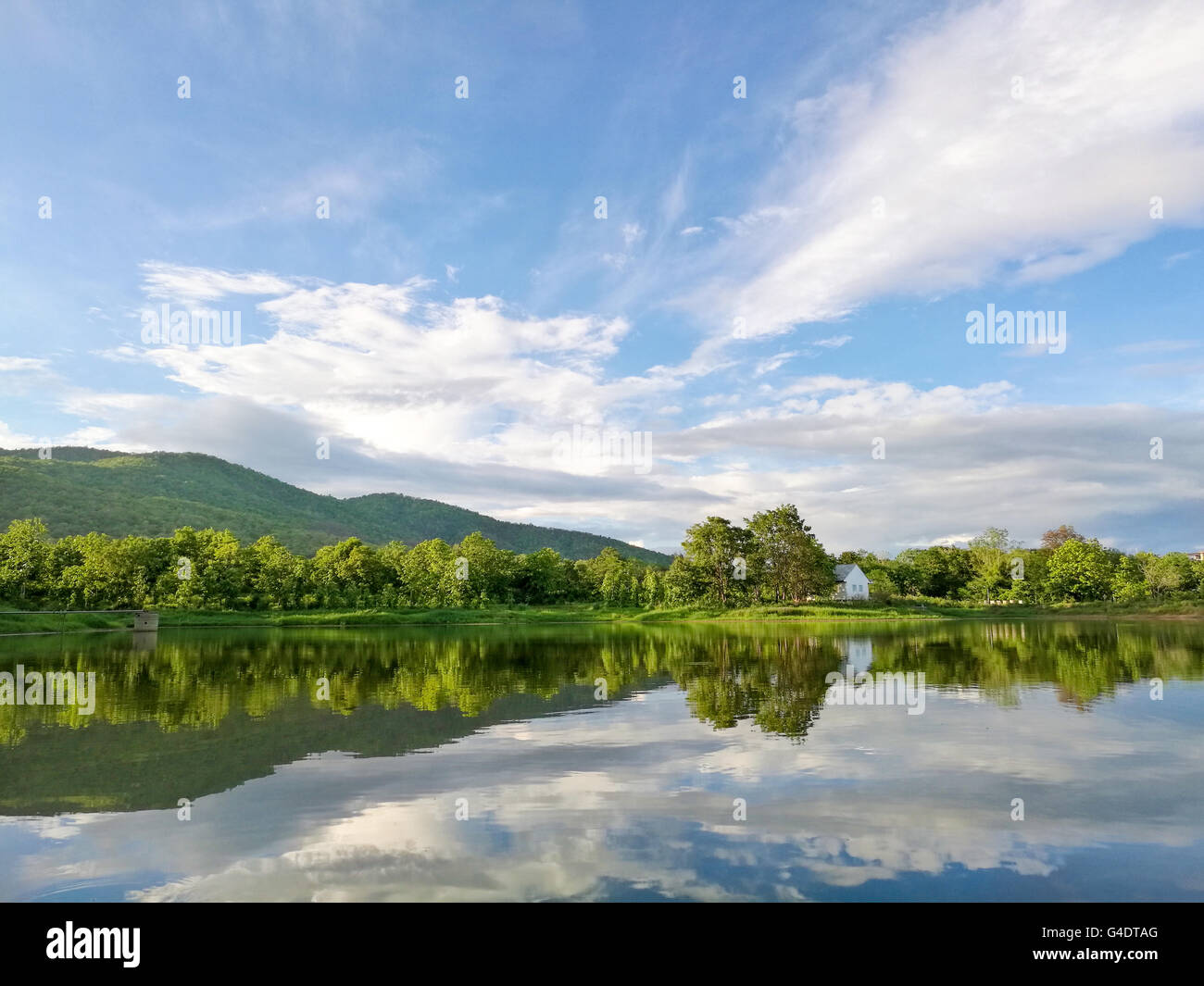 Reflection of natural tree and sky in a lake Stock Photo - Alamy