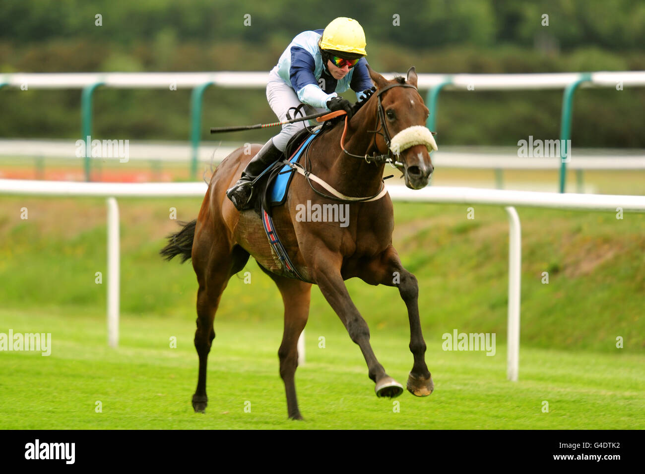 Jacksons field hi-res stock photography and images - Alamy