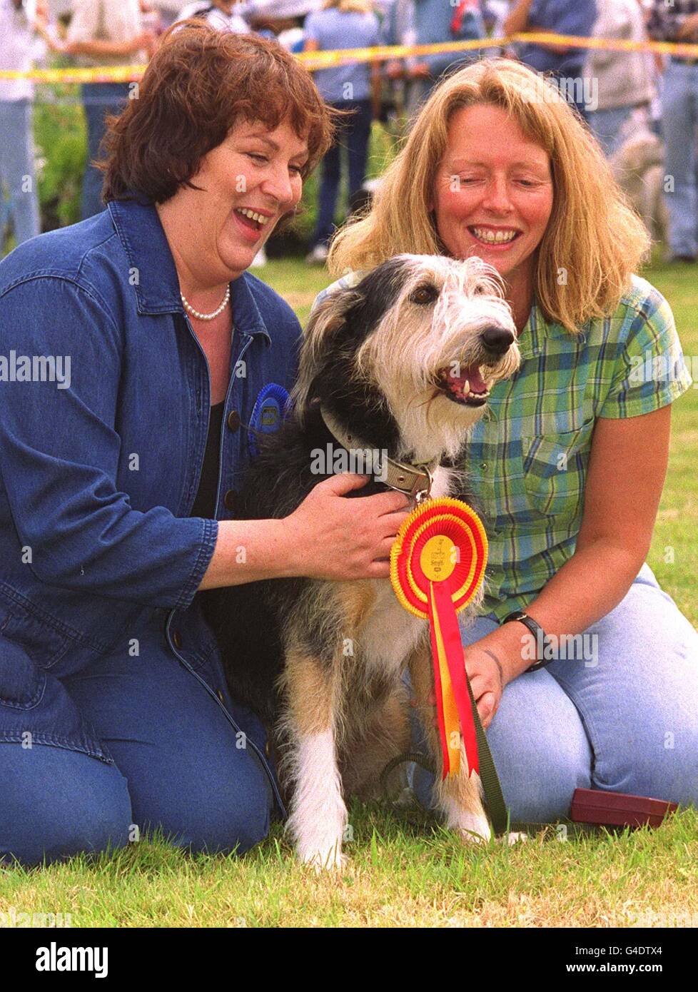 Tvs ma larkin darling buds may dog hi-res stock photography and images ...
