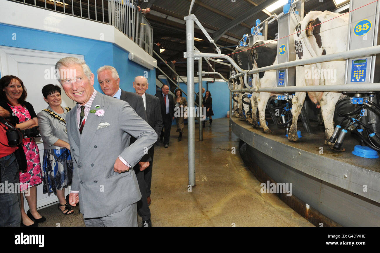 The Prince of Wales is shown around Fferm y Garreg, a family run dairy ...