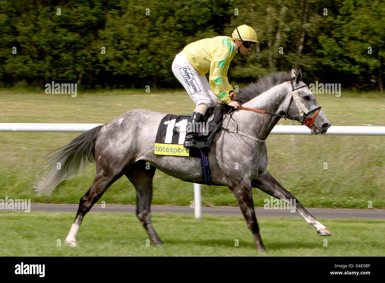John dance horse hi-res stock photography and images - Alamy