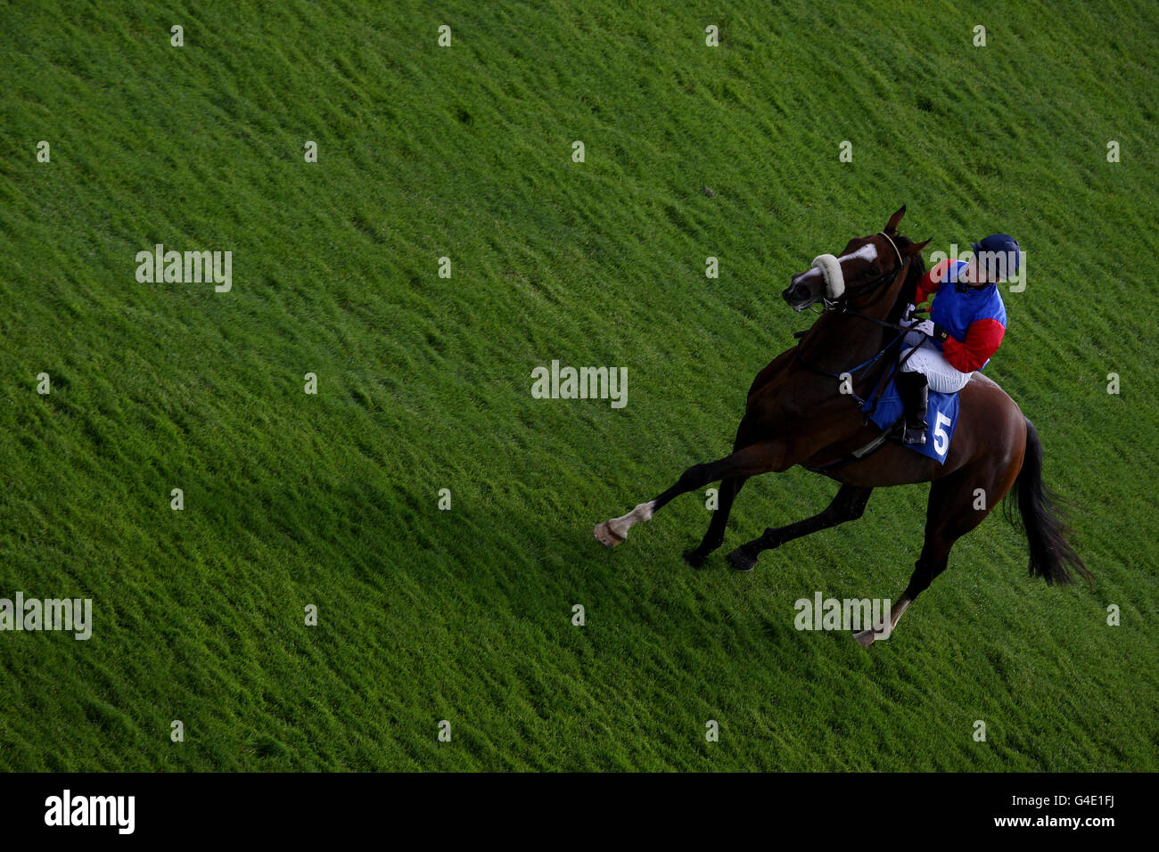 Horse Racing - Epsom Live! featuring The Beach Boys - Epsom Downs ...