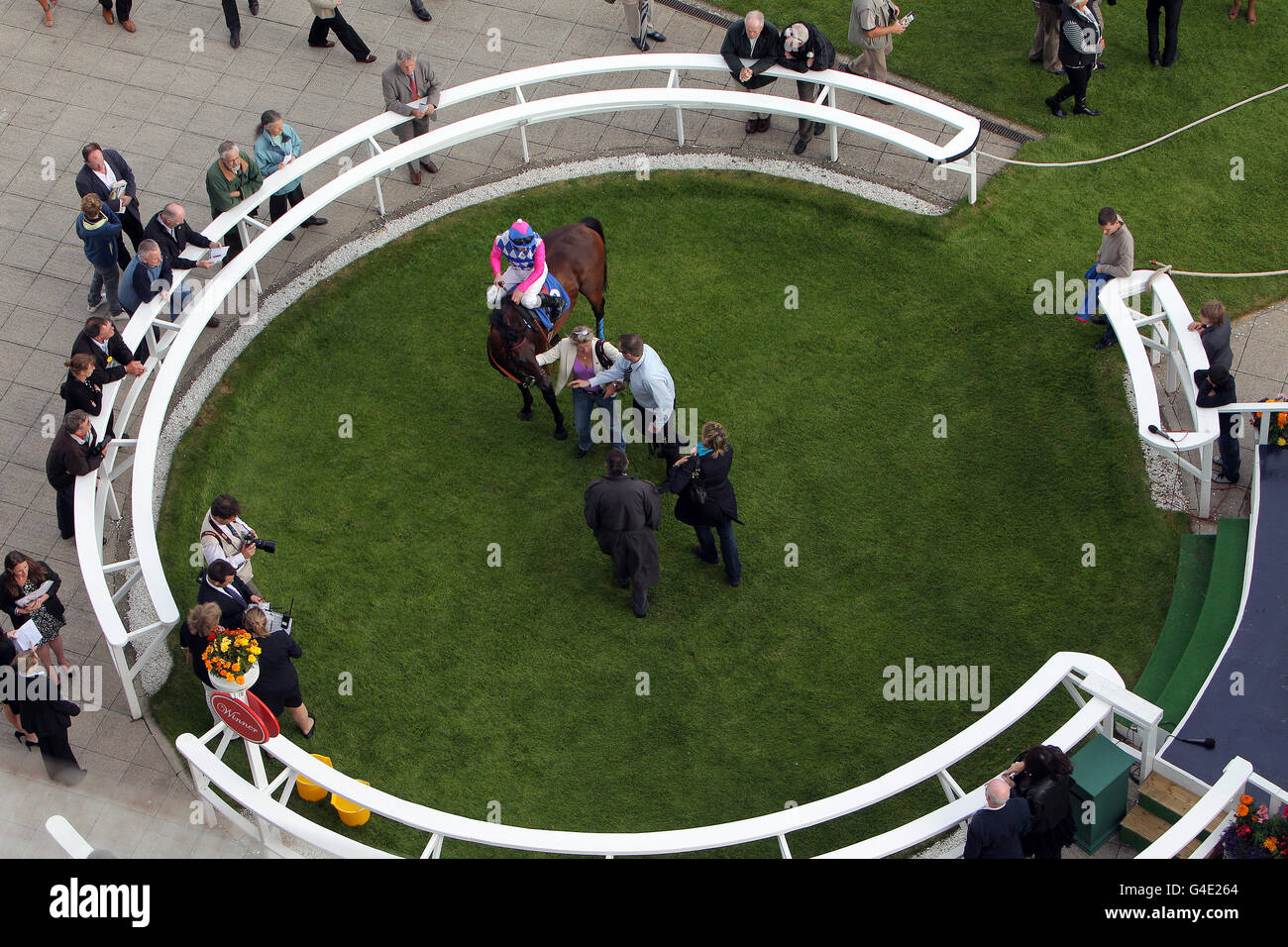 Declan Cannon High Resolution Stock Photography and Images - Alamy