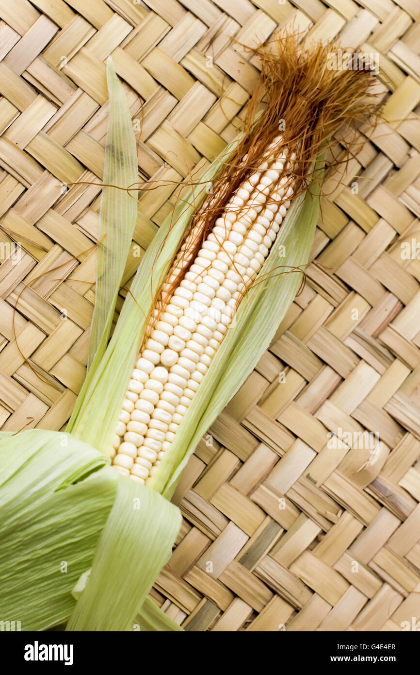 Photograph of a raw corn plant on a petate Stock Photo - Alamy