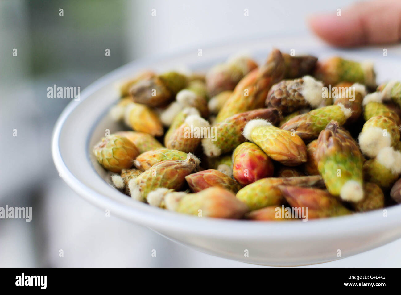 Photograph of some rare vegetables in a plate Stock Photo - Alamy