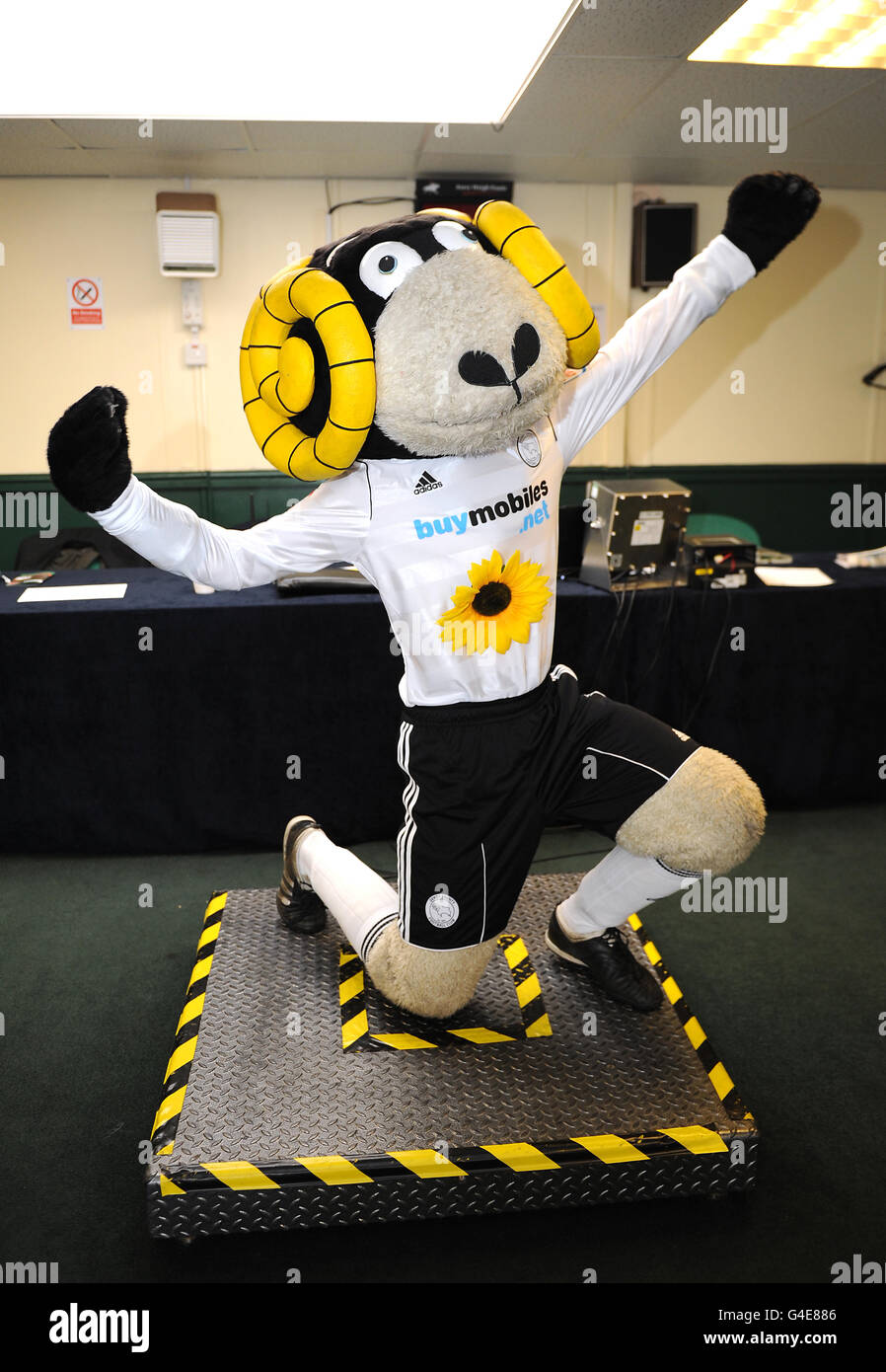 Derby County mascot Rammy the Ram weighs in before The Sunflower Sprint ...