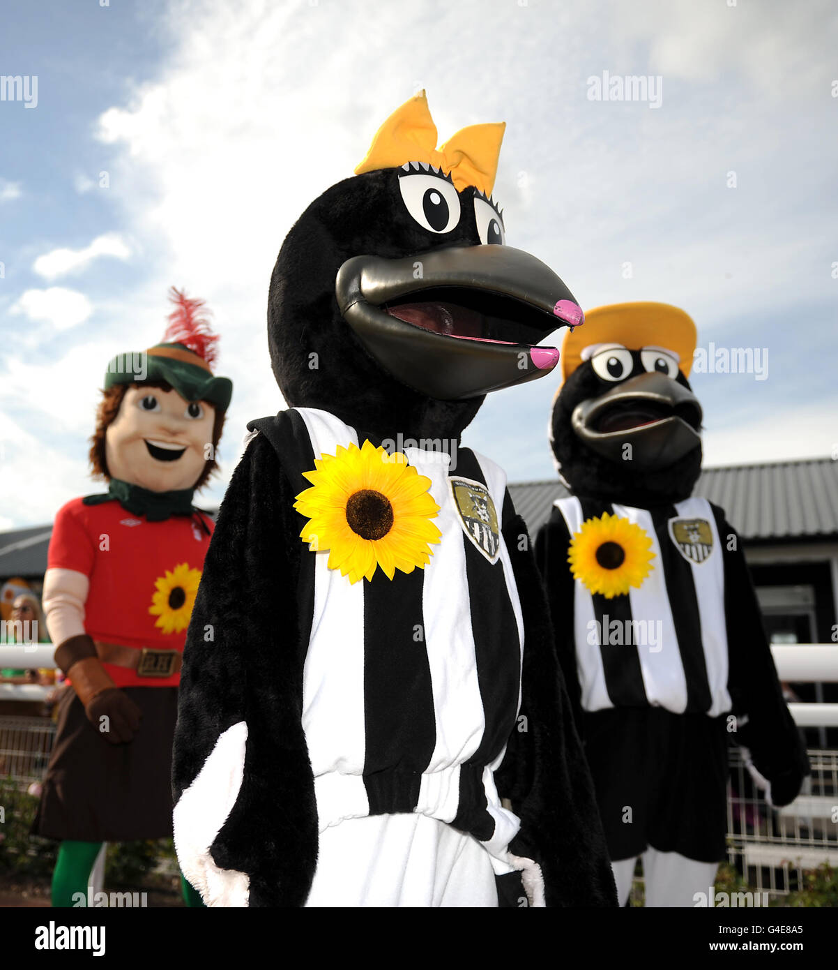 Notts county mascots mr and mrs magpie left hi-res stock photography ...