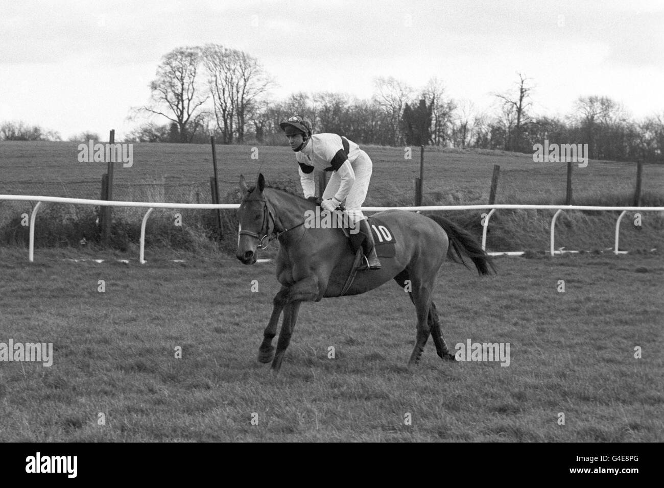 Grand National entry Knock Hill with jockey George Mernagh in the ...