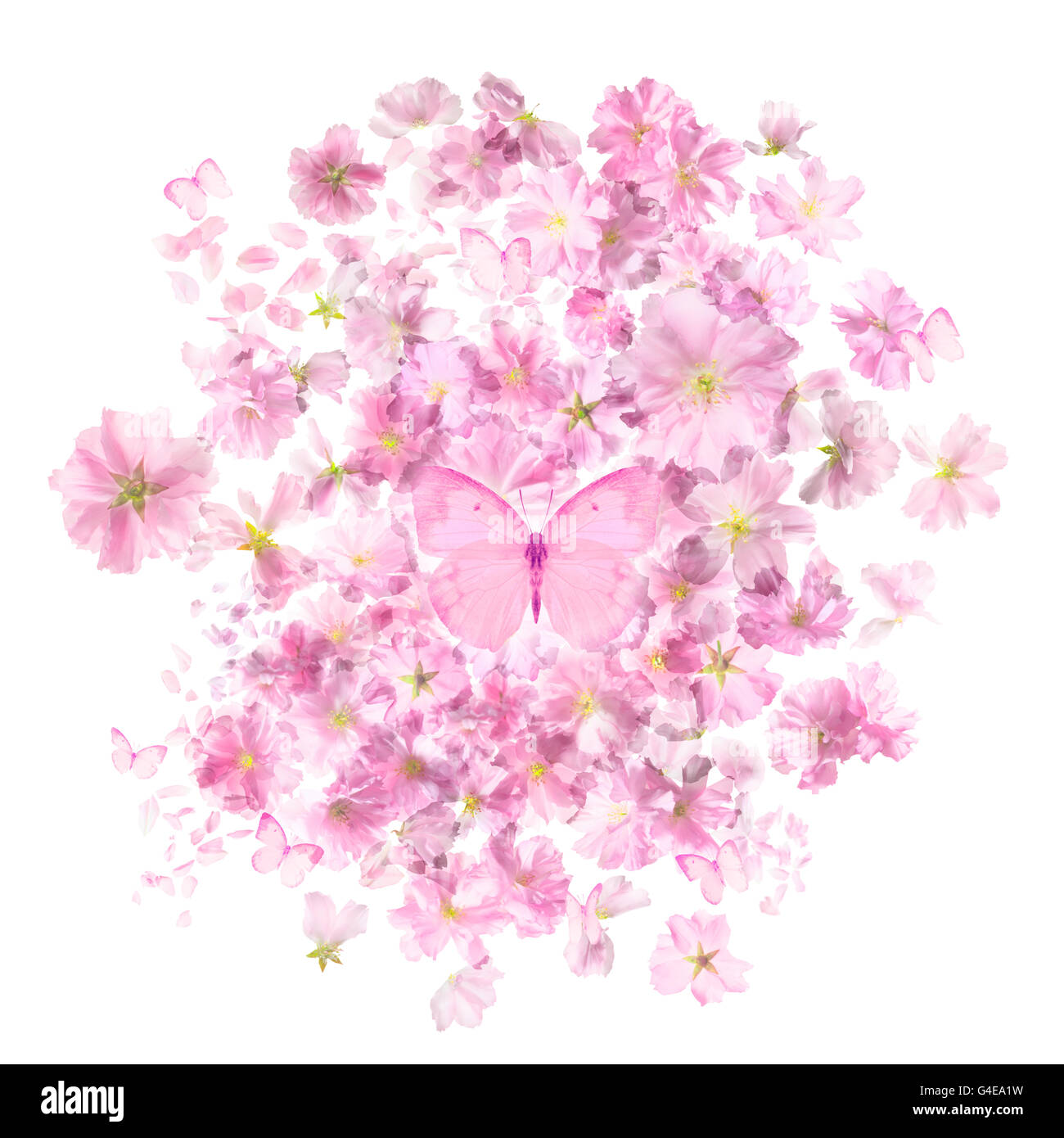 See through overlay Cut Out Stock Images & Pictures - Alamy