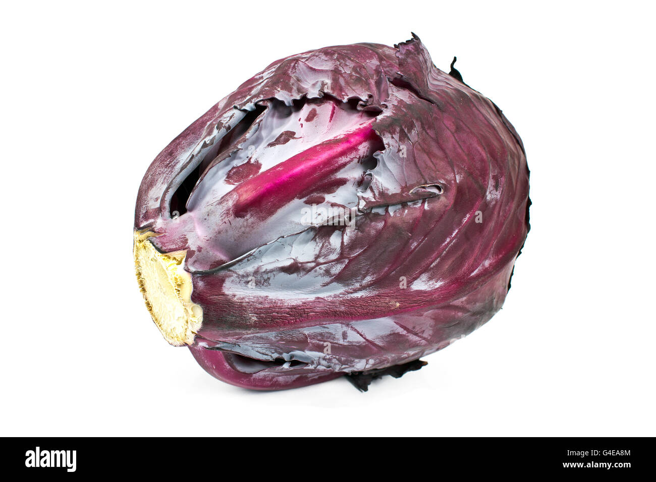 Red cabbage isolated on white Stock Photo - Alamy