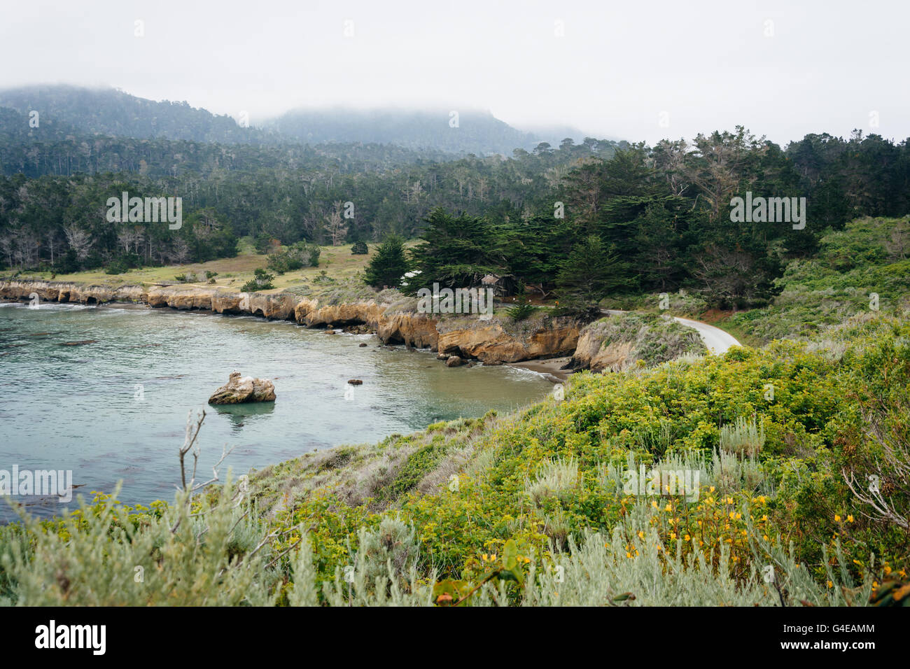 Cloudy view of the Pacific Coast from Point Lobos State Natural Reserve ...