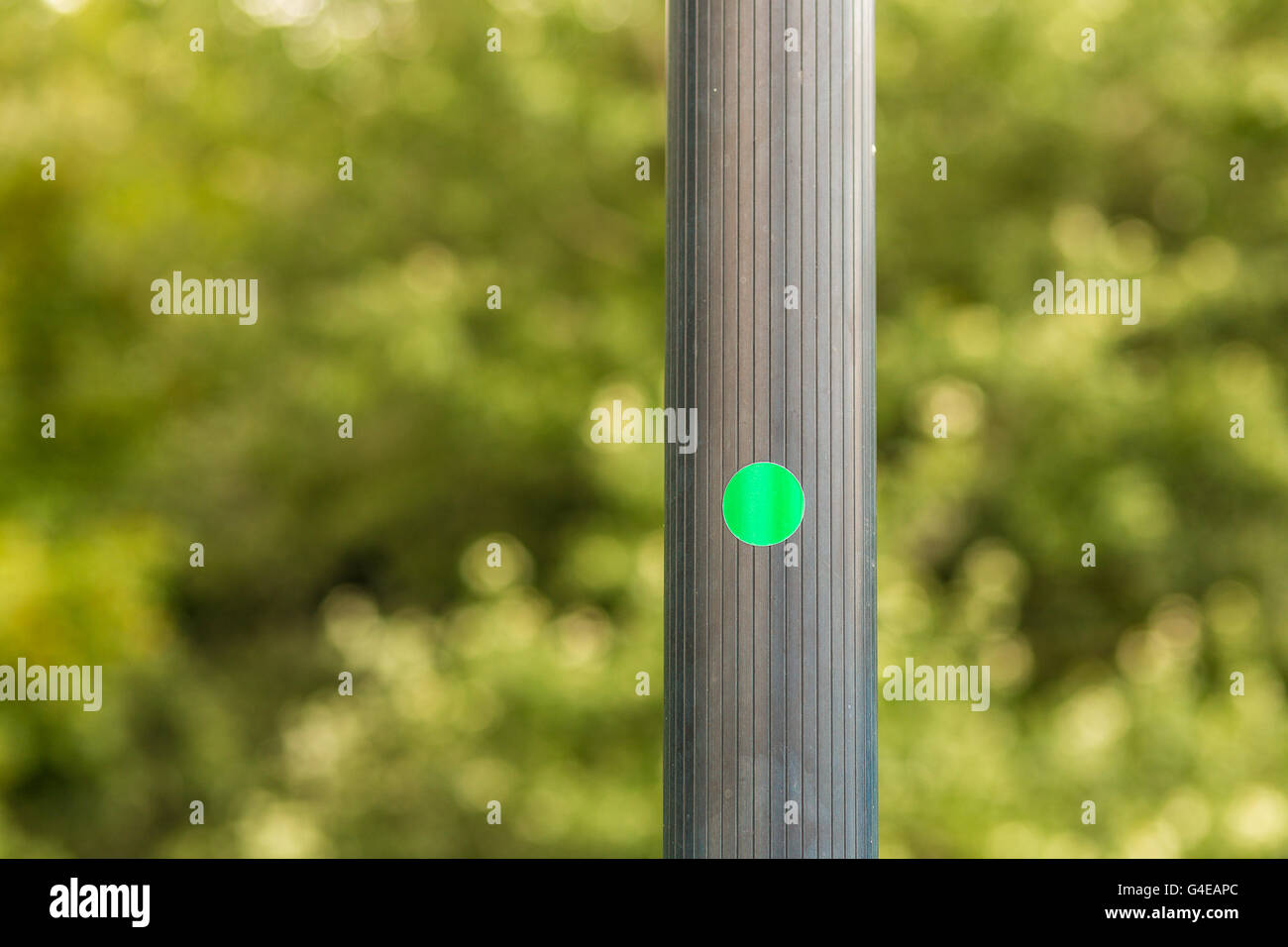 green circular sticker on metal pole Stock Photo - Alamy