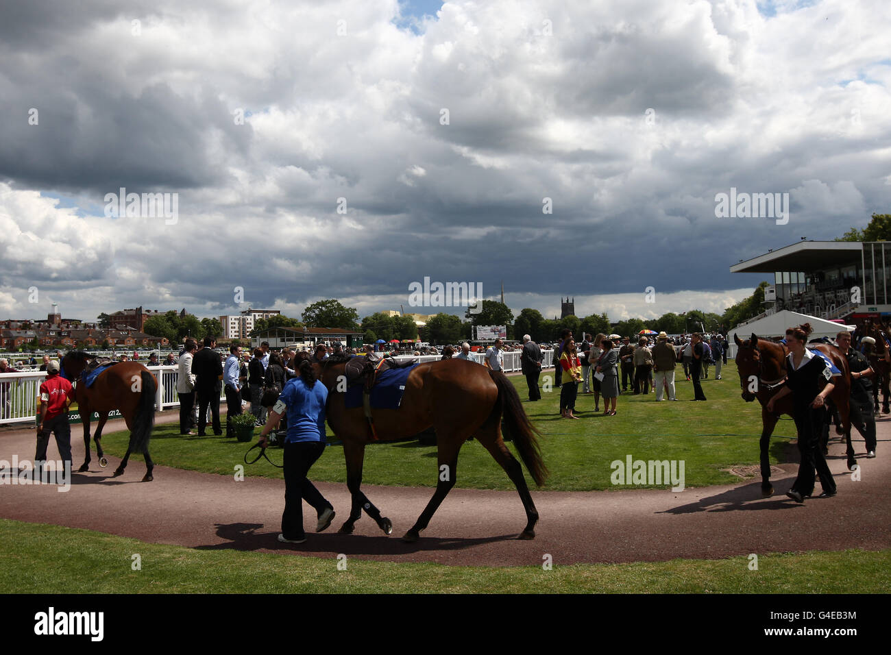 Horses are lead around the parade ring at Worcester Racecourse Stock ...