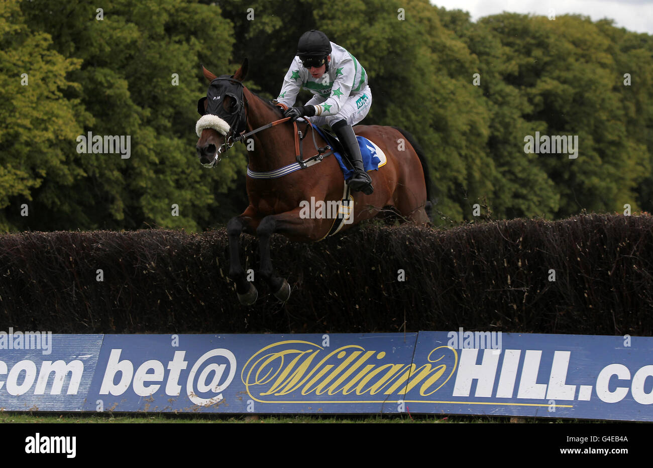 Jockey Sam Clements on Youngstown jumps in the Suckling Transport ...