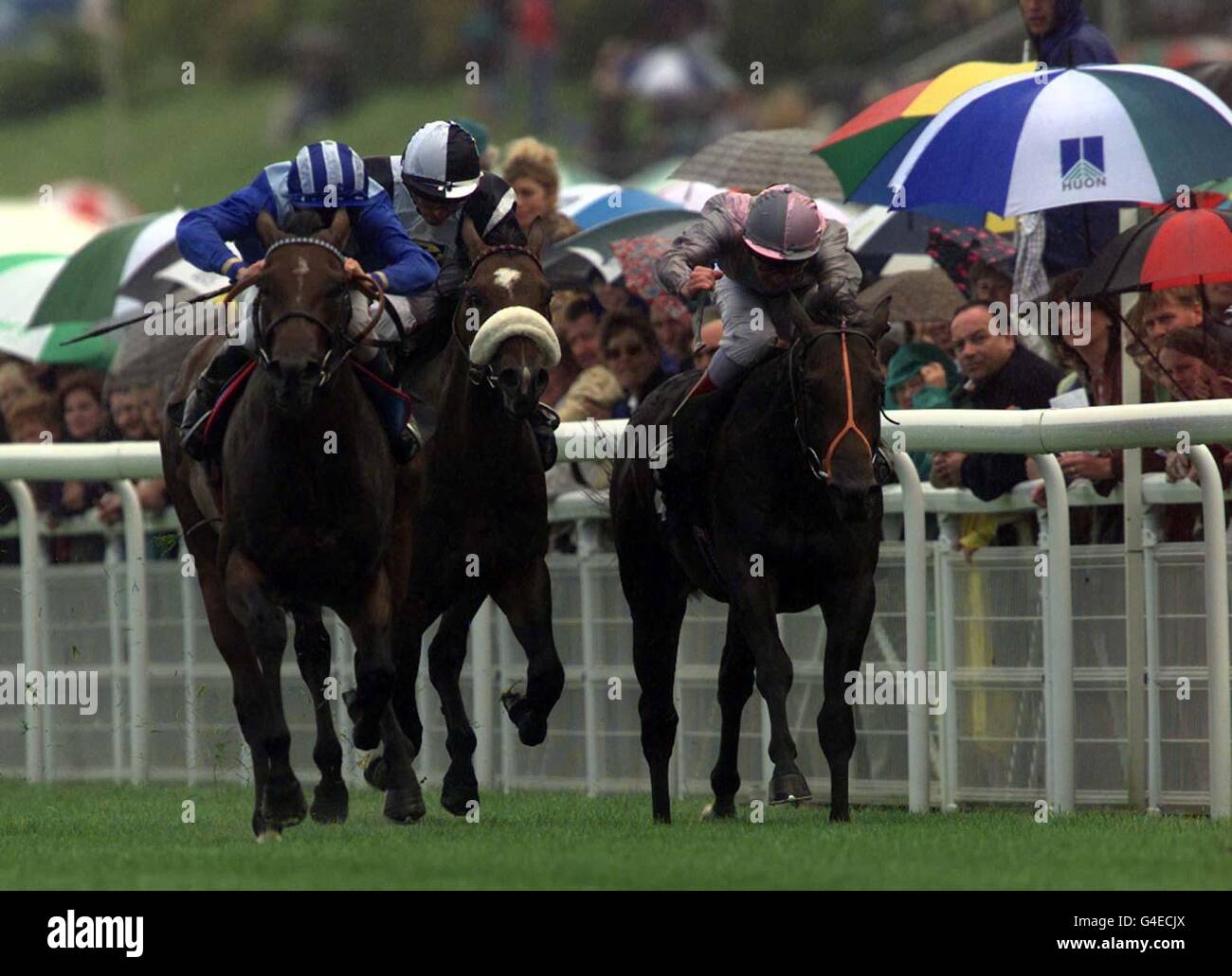 (l-r) Winner Muqtarib ridden by Richard Hills, Third Rosselli ridden by ...
