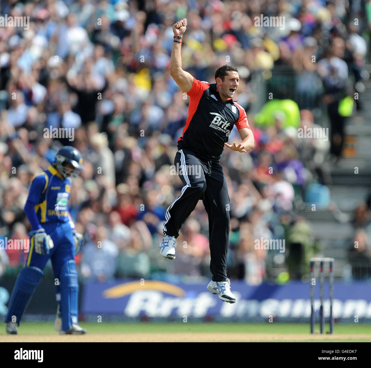 England's Tim Bresnan celebrates after taking the wicket of Sri Lanka's ...