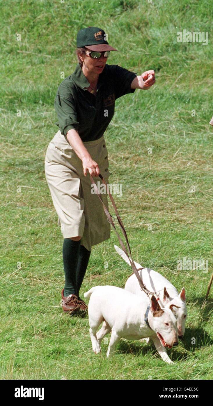 Princess Royal dog walking Stock Photo - Alamy