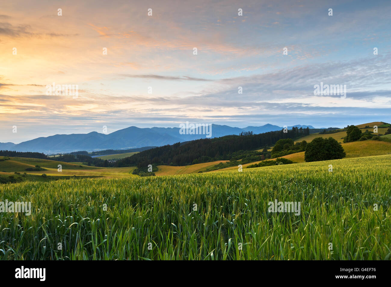 View of a typical landscape of Turiec region, northern Slovakia Stock ...