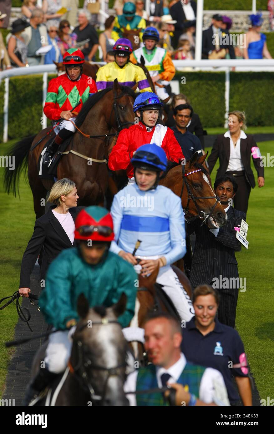 Horse Racing - 2011 Glorious Goodwood Festival - Glorious Ladies Day ...