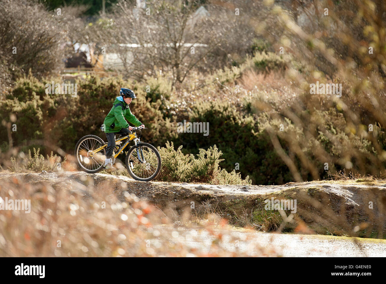 Children cycling in the countryside on cycle path Stock Photo - Alamy