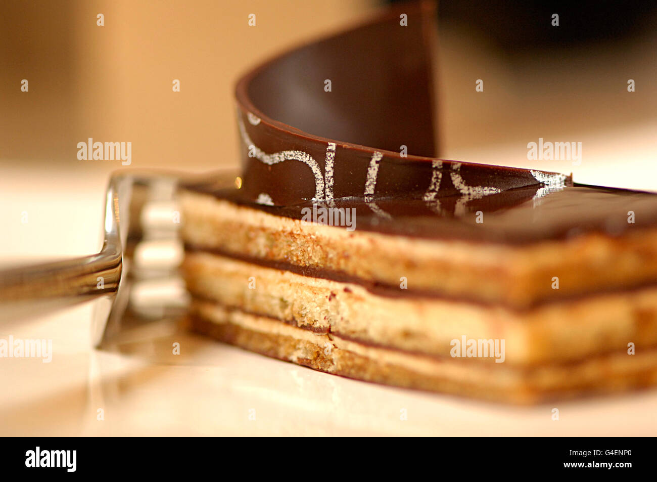 Chocolate Cake with fork Stock Photo - Alamy