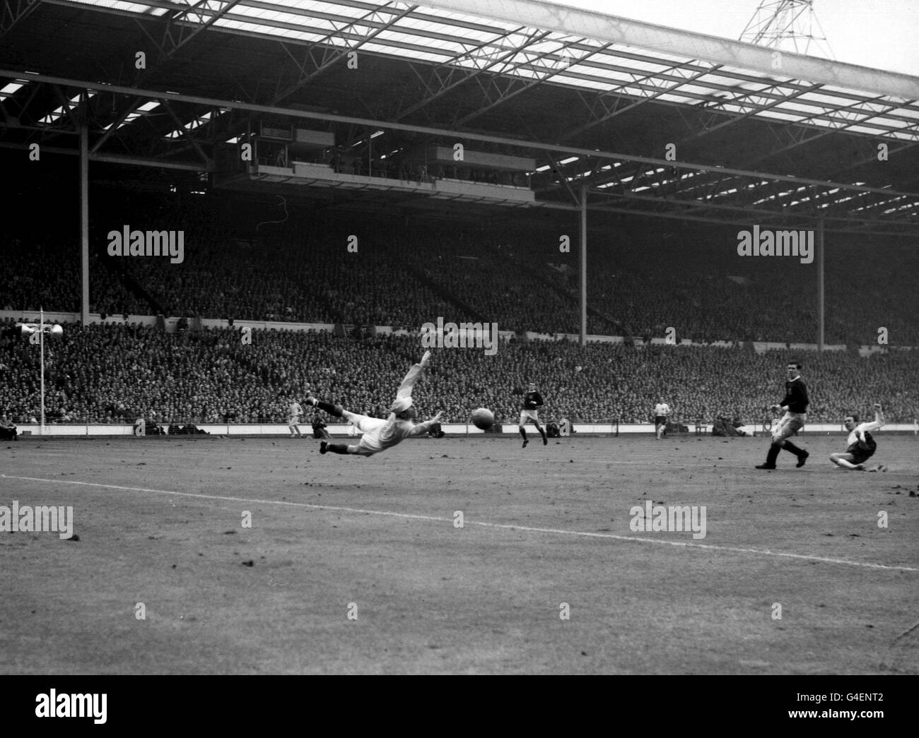 Null Black and White Stock Photos & Images - Alamy