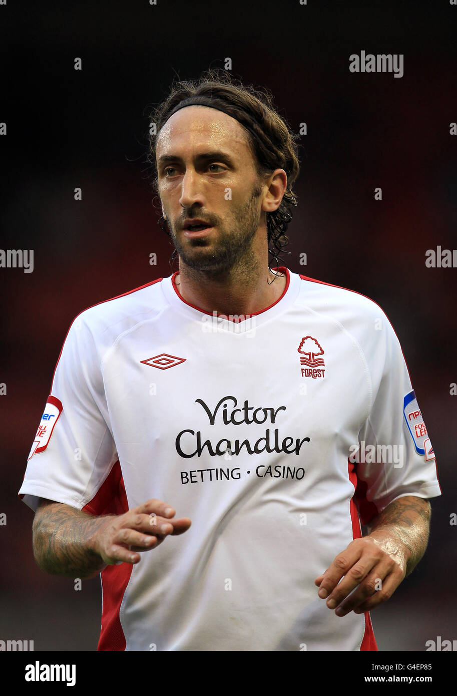 Jonathan greening forest hi-res stock photography and images - Alamy