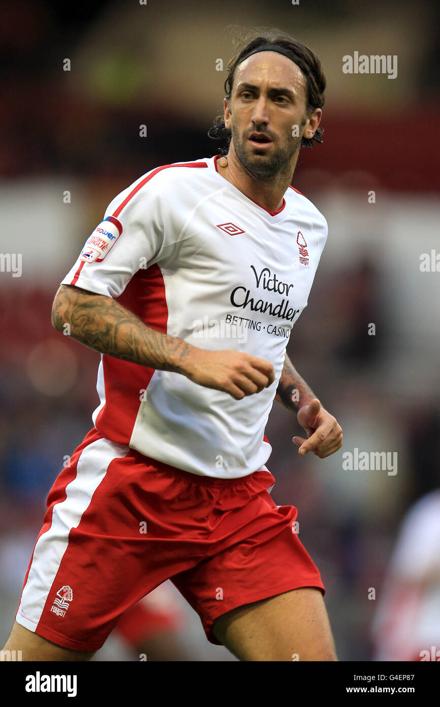 Jonathan greening forest hi-res stock photography and images - Alamy