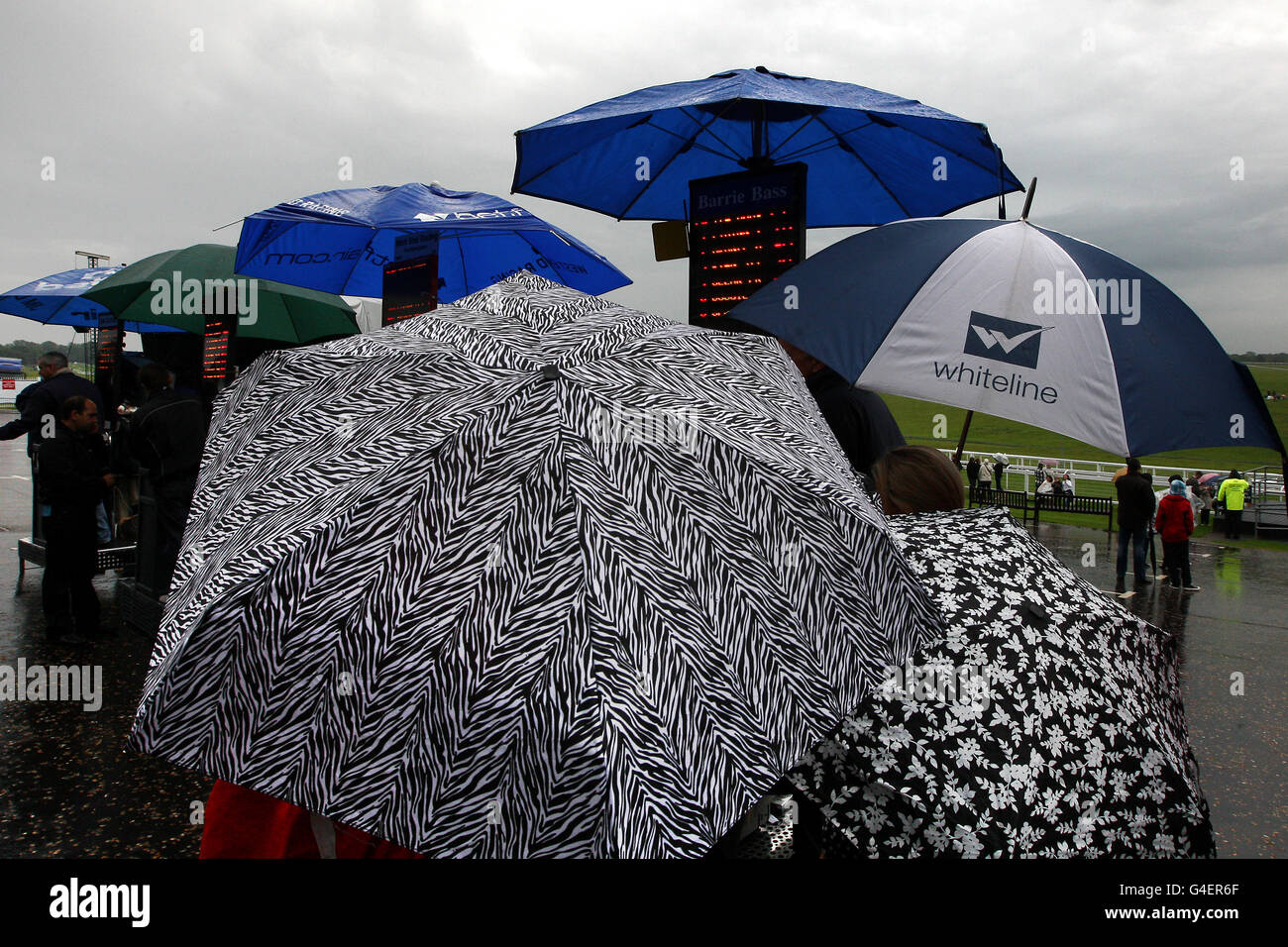 Horse Racing - Epsom LIve! - Epsom Downs Racecourse Stock Photo - Alamy