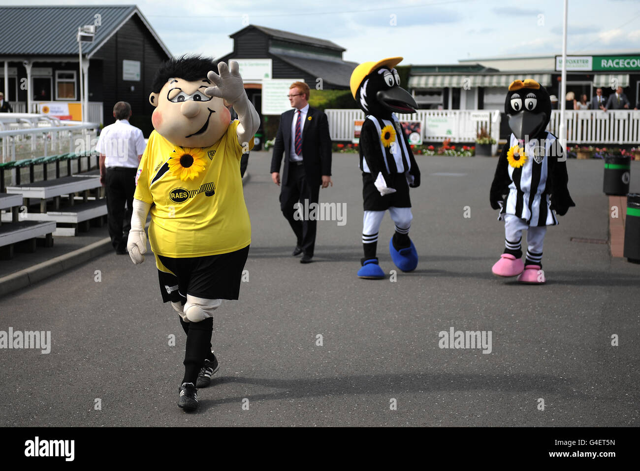 Notts county mascots mr mrs magpie walk around uttoxeter racecourse hi ...
