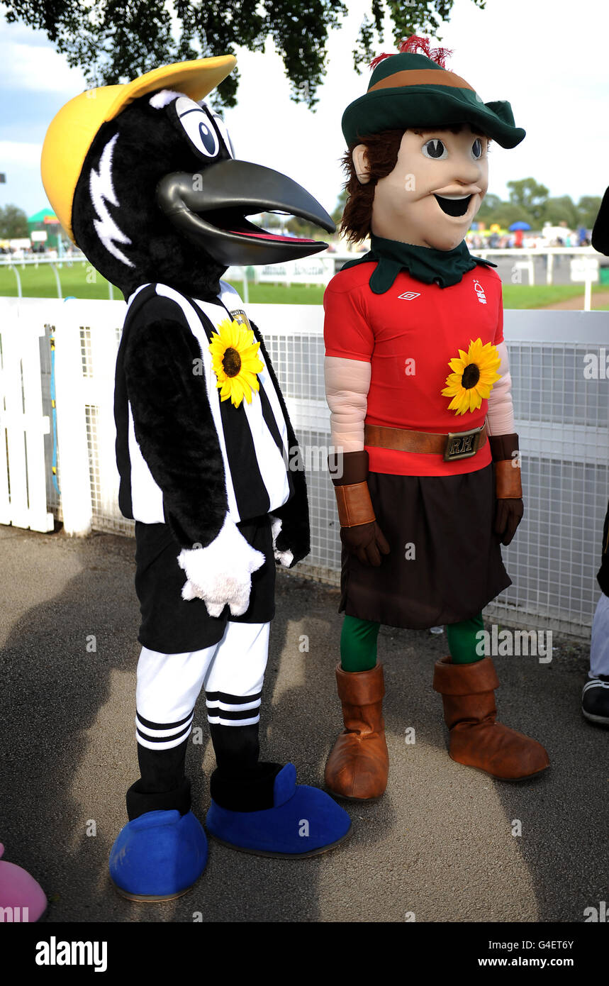 Nottingham forest mascot hi-res stock photography and images - Alamy