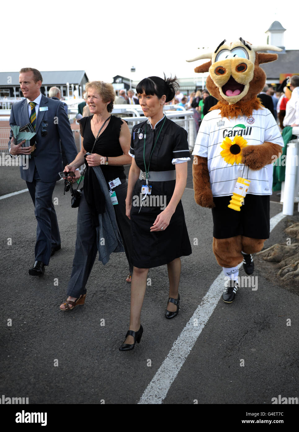 Hereford united mascot edgar the bull hi-res stock photography and ...
