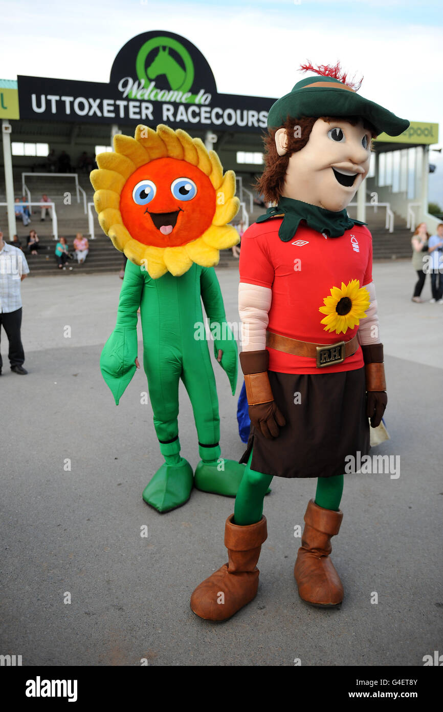 Nottingham forest mascot hi-res stock photography and images - Alamy