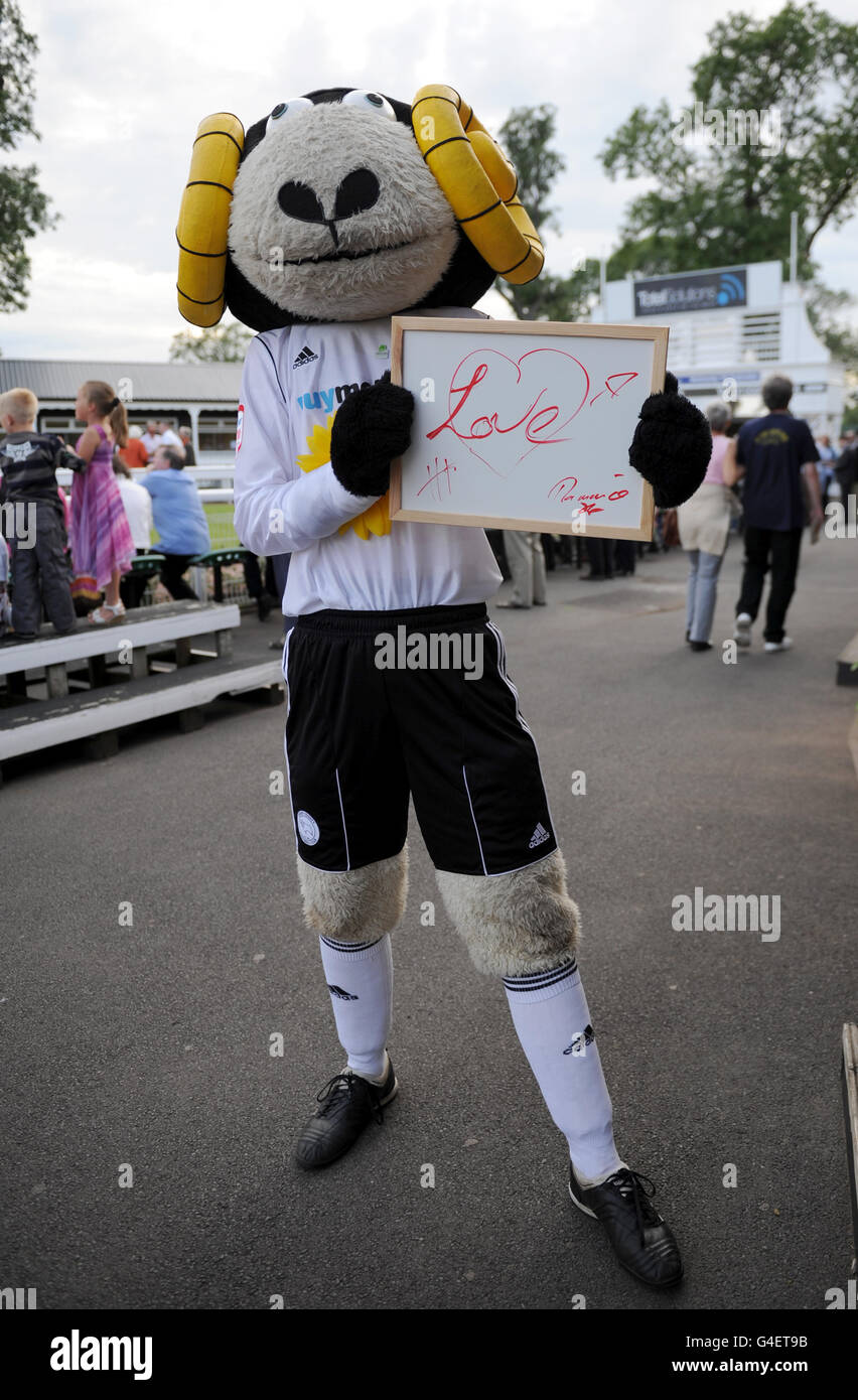 Derby county mascot rammy the ram hi-res stock photography and images ...