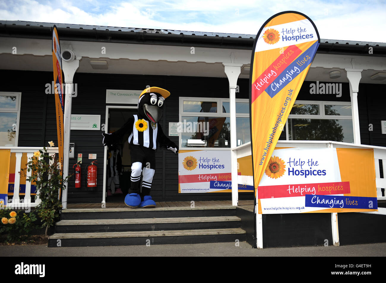 Notts County Mascot Mr Magpie High Resolution Stock Photography and ...