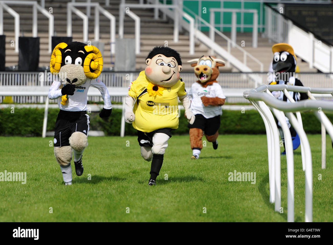 Notts county mascot mr magpie hi-res stock photography and images - Alamy