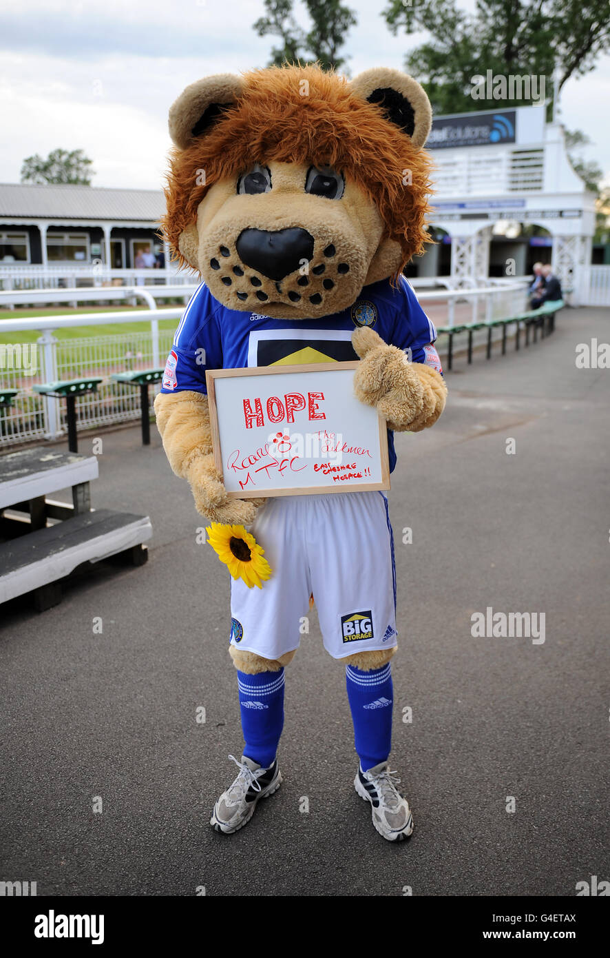 Macclesfield Town mascot Roary the Lion holds up a sign displaying the ...