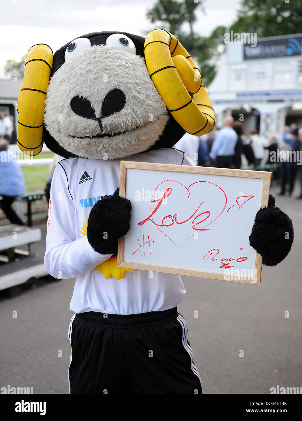 Derby county mascot rammy the ram hi-res stock photography and images ...