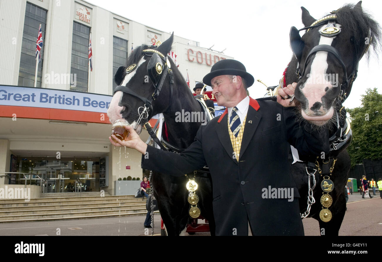 A shire horse from Thwaites brewery drinks a pint of bitter during the ...
