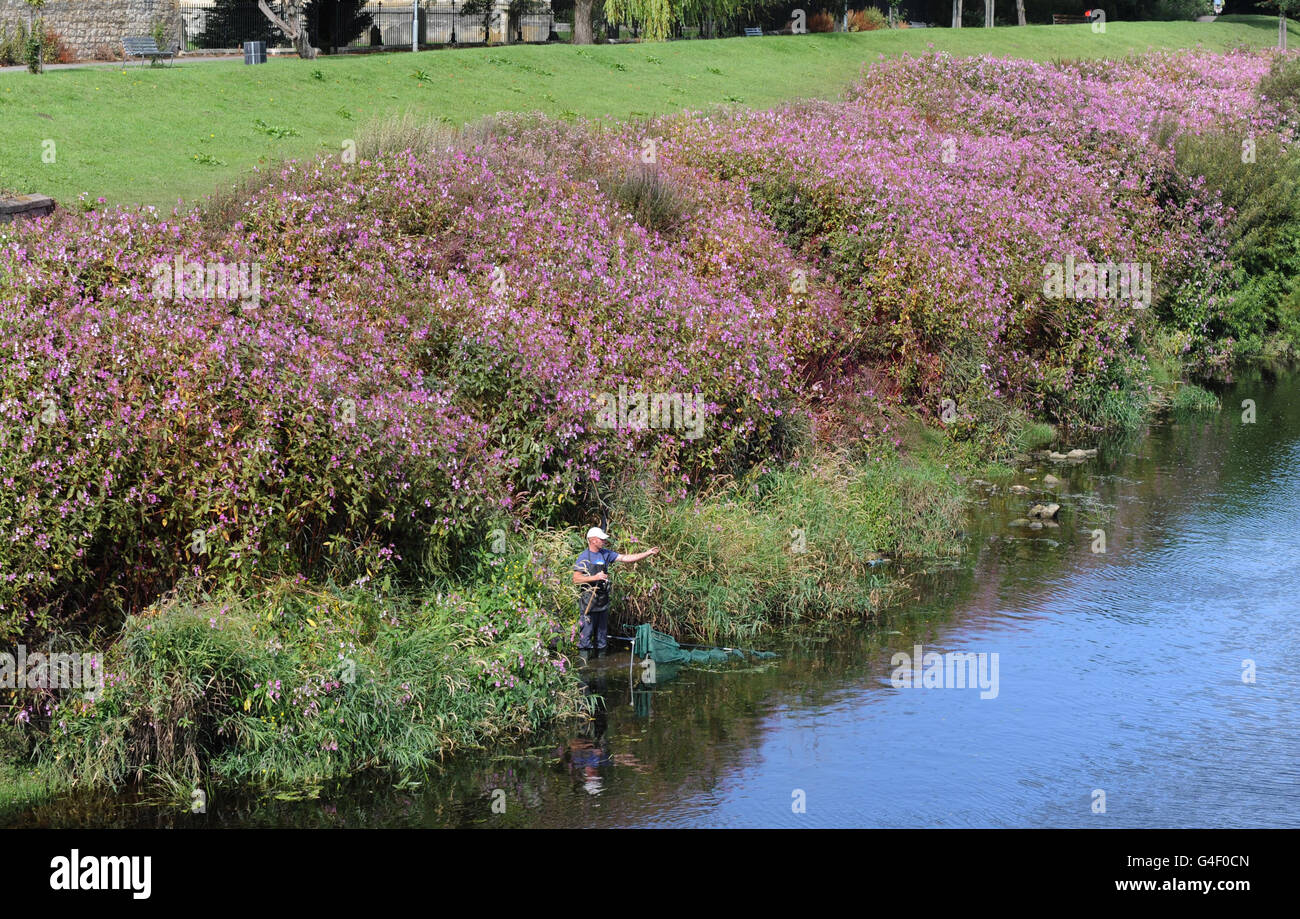 Summer weather August 7 Stock Photo - Alamy