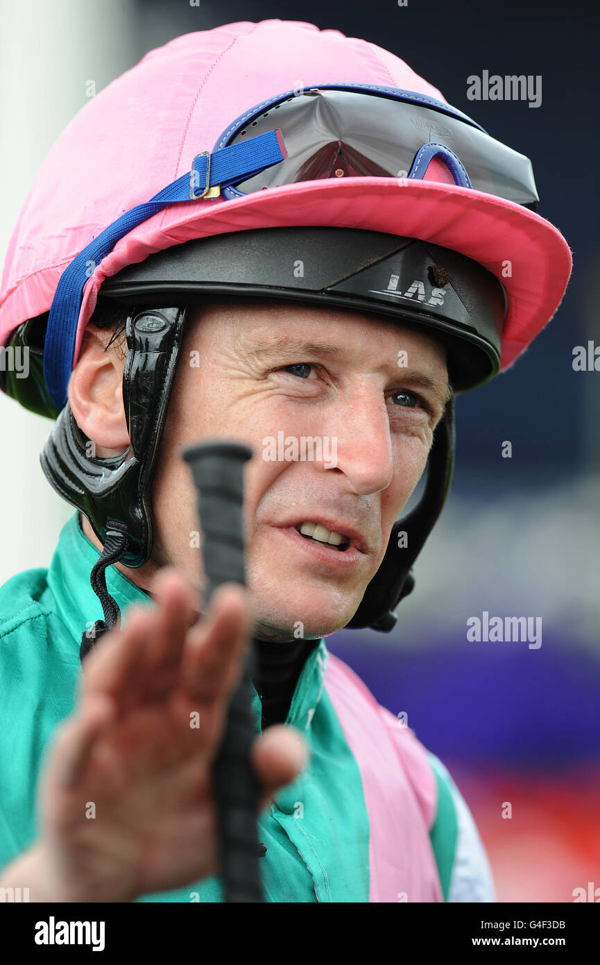 Jockey steve drowne at newbury racecourse hi-res stock photography and ...
