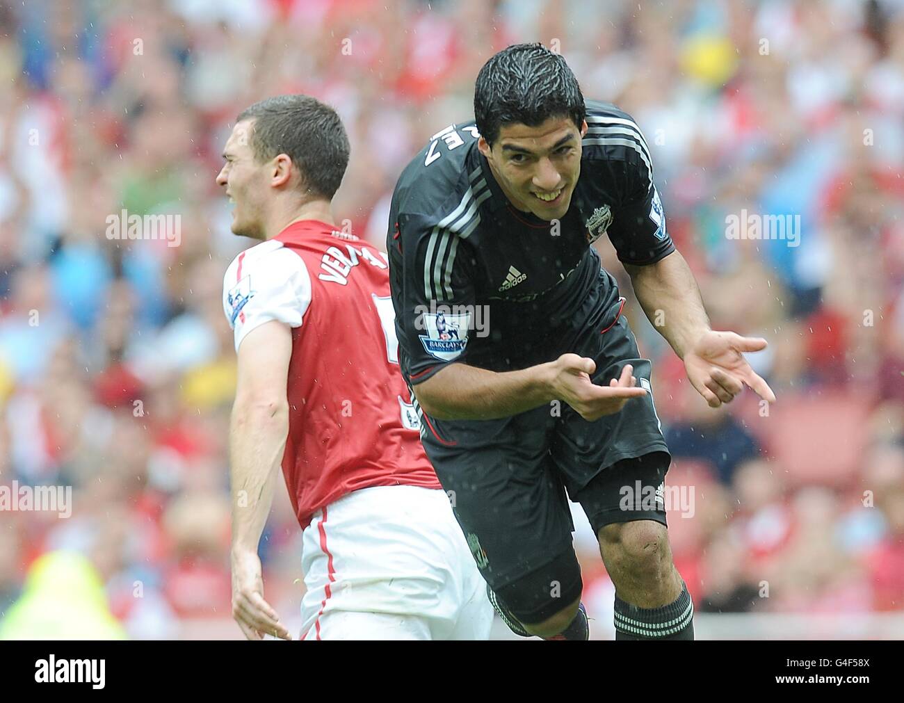 Arsenals thomas vermaelen right celebrates after scoring their second ...